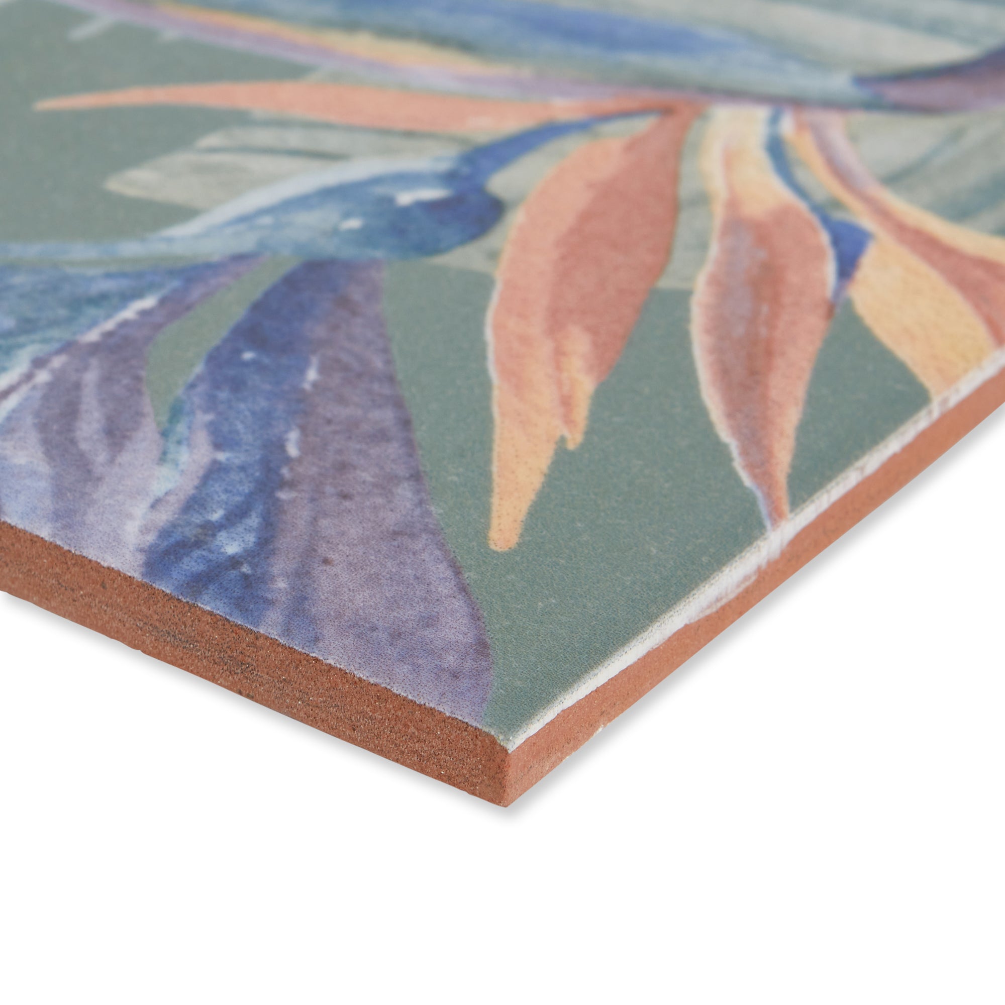 Paradise | Spectacular Patterned Wall Tiles | Porcelain Superstore